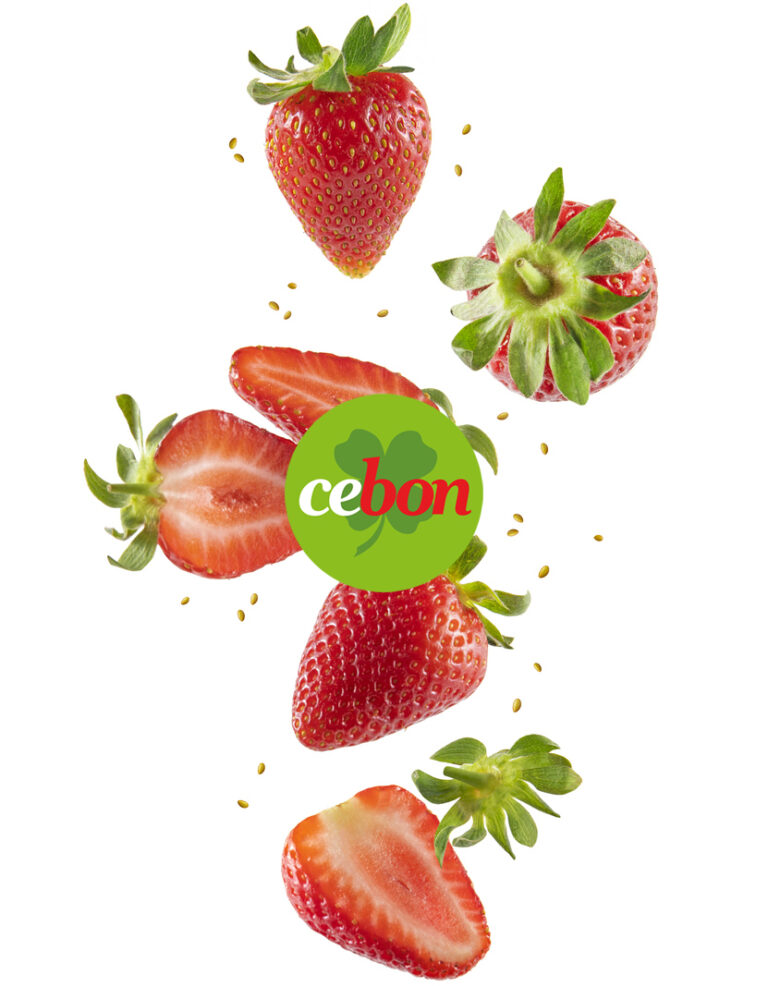 Starfresh | Grossiste liégeois en fruits et légumes pour professionnels